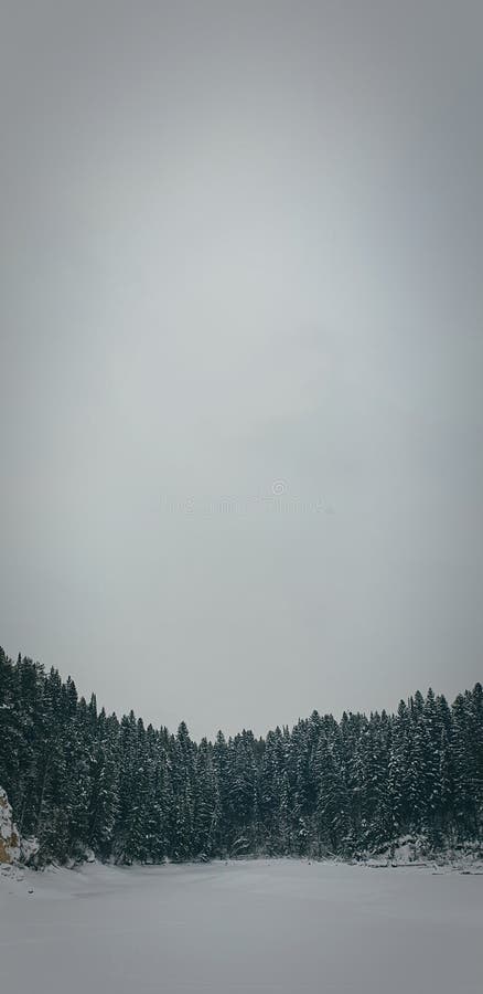 Cold and gloomy morning stock photo. Image of tree, white - 210943240