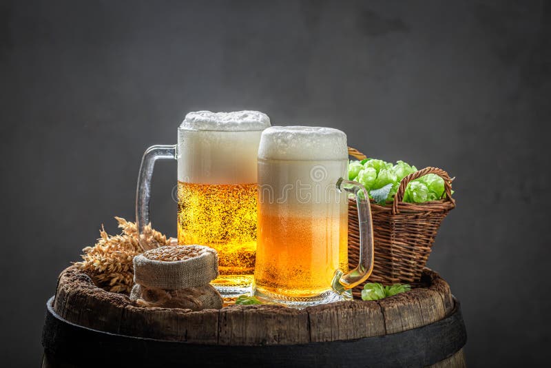 Cold and Gold Light Beer with Foam, Hops and Wheat Stock Image - Image ...