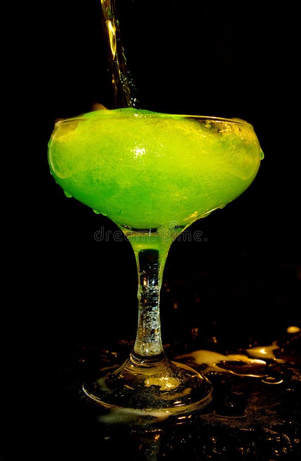 Cold but Green stock image. Image of snowy, branches - 165991303