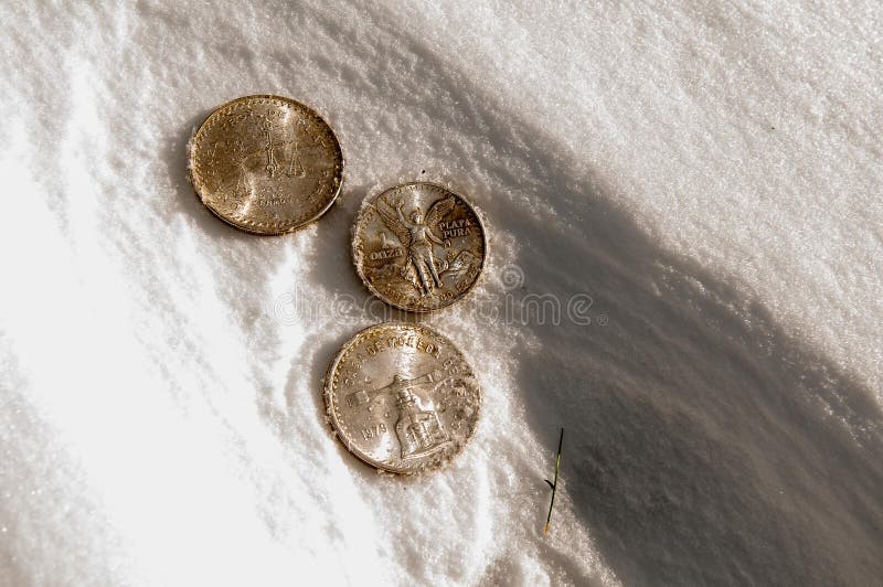 Cold Hard Cash - Silver Coins in Snow Stock Image - Image of cold, snow ...