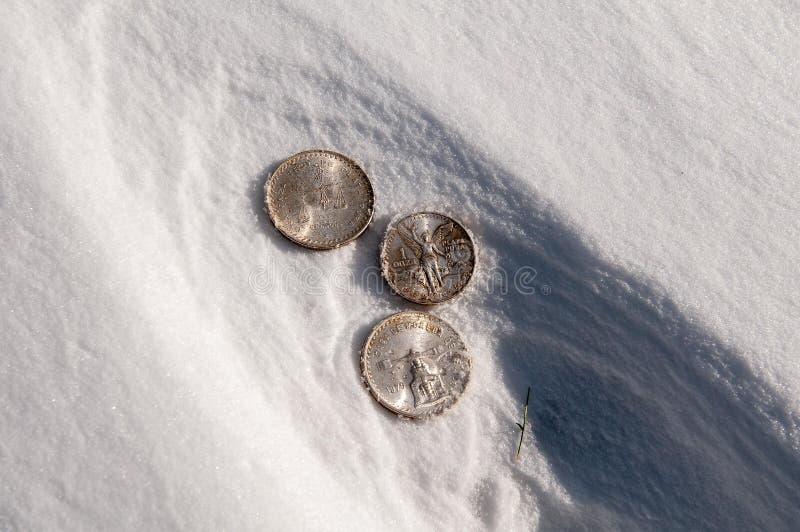 Cold Hard Cash - Silver Coins in Snow Stock Image - Image of cold, snow ...