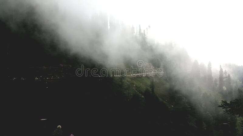 Cold Haunting Mist stock photo. Image of haunting, cold - 99987792