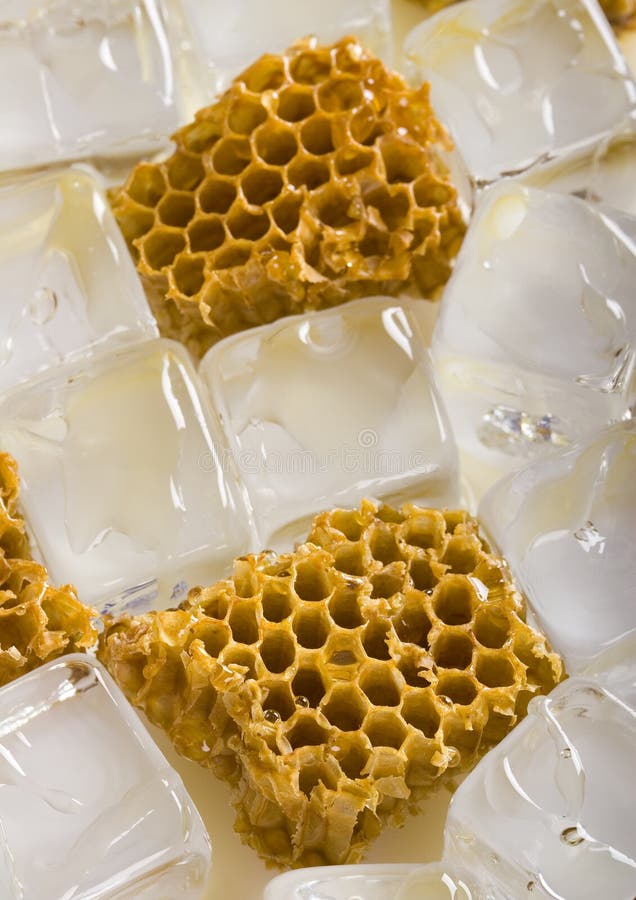 Cold honey comb stock image. Image of fructose, flavour - 2169039