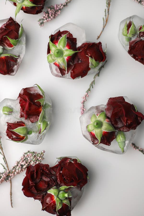 Cold Ice in the Shape of a Heart with Red Roses and Buds Inside on a ...