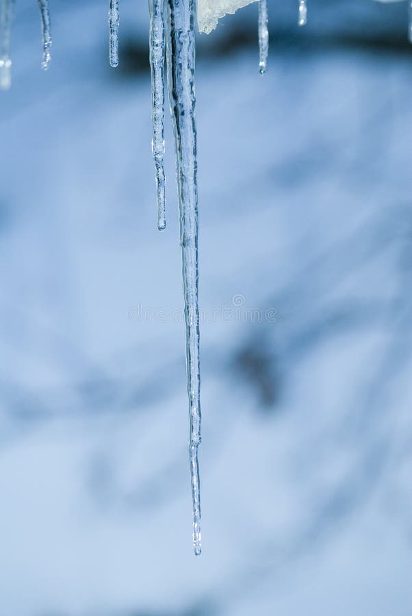 Cold icicle stock photo. Image of holidays, blue, year - 11870128