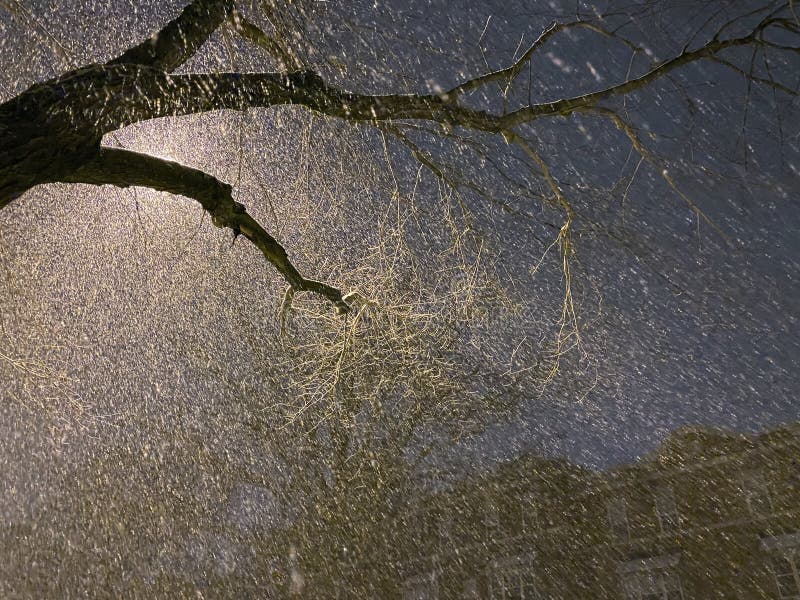 Cold January Snow at Night in Winter in January Stock Image - Image of ...