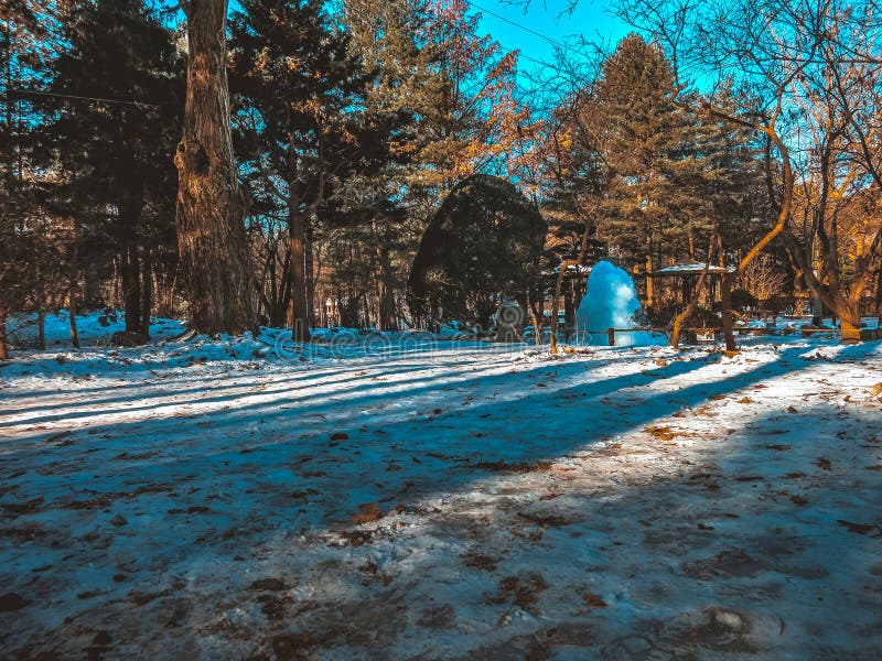 The Cold Landscape of the Winter in Korea Park Stock Photo - Image of ...