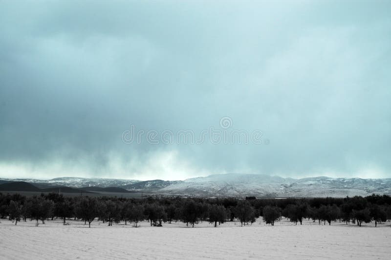 A Cold Landscape in the Winter Time Stock Photo - Image of clouds ...