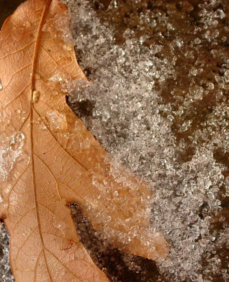 Royalty Free Stock Photos and Images