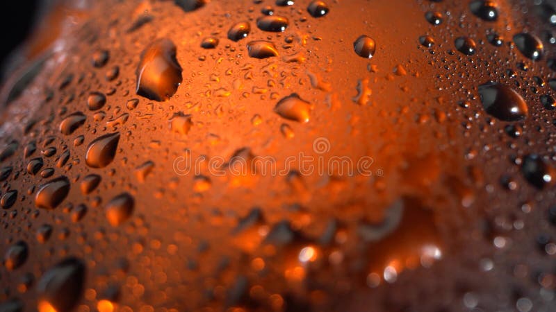 Cold Light Beer with Bubbles in a Glass and Dripping Condensate Drops ...