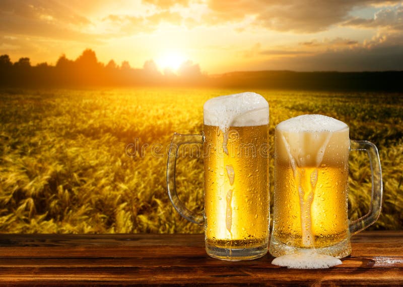Cold light beer stock image. Image of closeup, night - 79619613