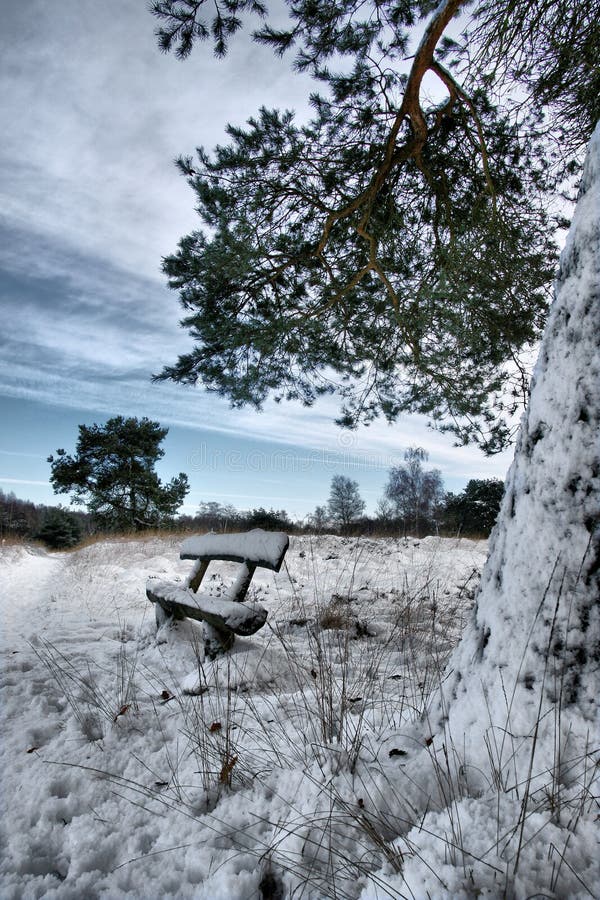 Cold Lonely Desolated Bench Stock Image - Image of snow, white: 12282777