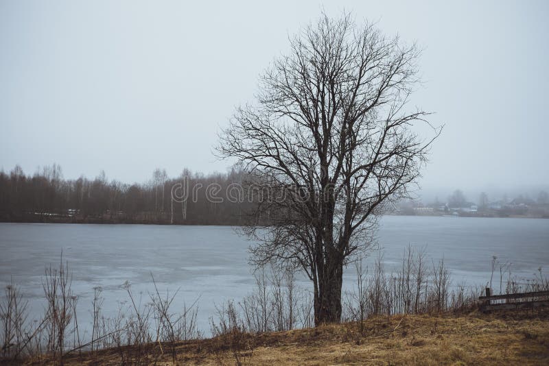 Cold Melancholic Spring Landscape with Lake. Stock Photo - Image of ...