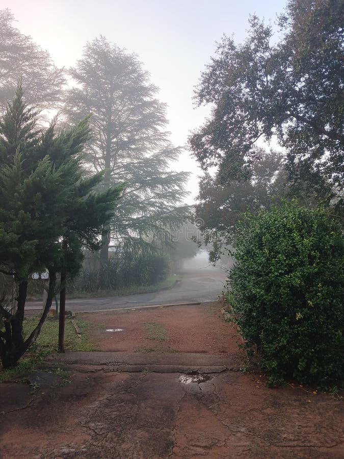 Cold Misty Morning stock image. Image of cmisty, nature - 379450063