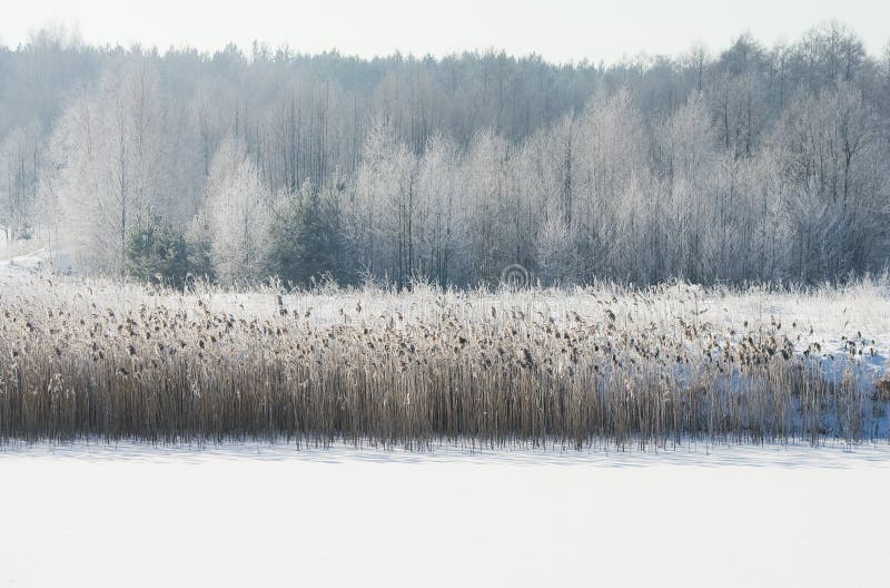 Cold morning stock image. Image of february, christmas - 3533631