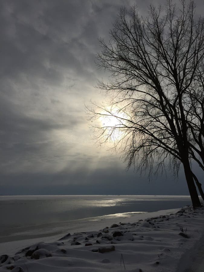 Cold morning stock photo. Image of winterlandscape, pretty - 49263616