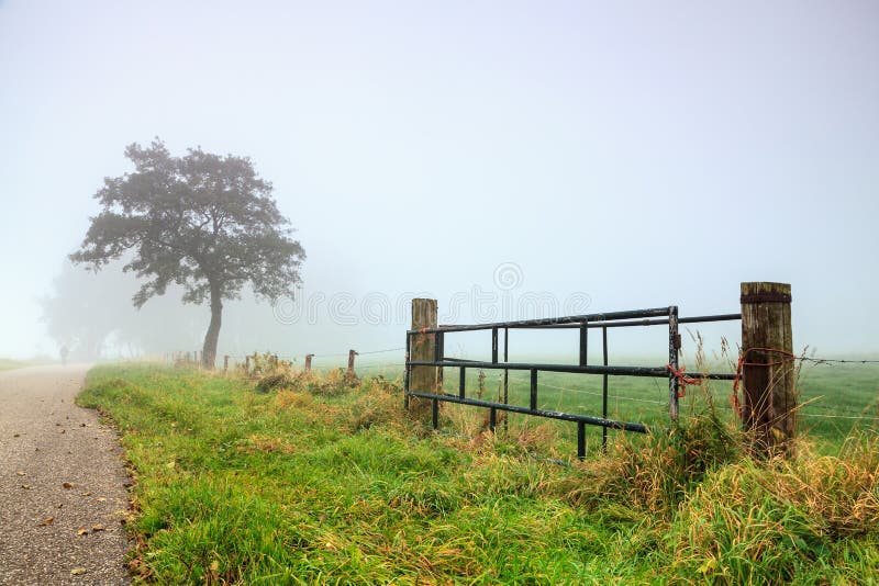 Cold Morning Landscape with Dew on the Grass Stock Image - Image of ...