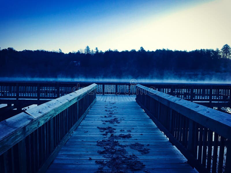 Cold morning stock image. Image of cold, morning, shot - 83253597