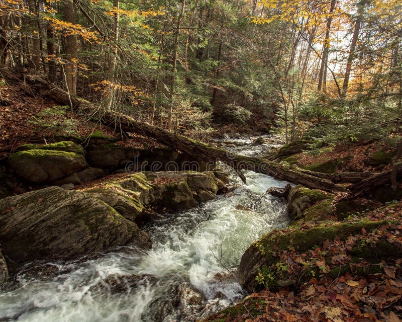 Cold mountain brook stock image. Image of plot, happiness - 130717527