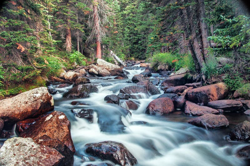 Cold Mountain Stream stock photo. Image of forest, exposure - 83456684