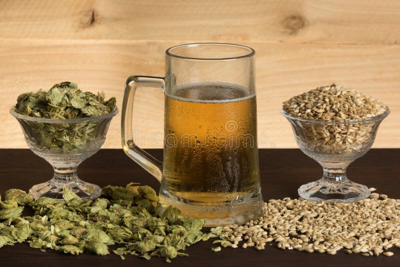 Cold Mug of Beer, with Hops and Malts Stock Photo - Image of alcoholic ...