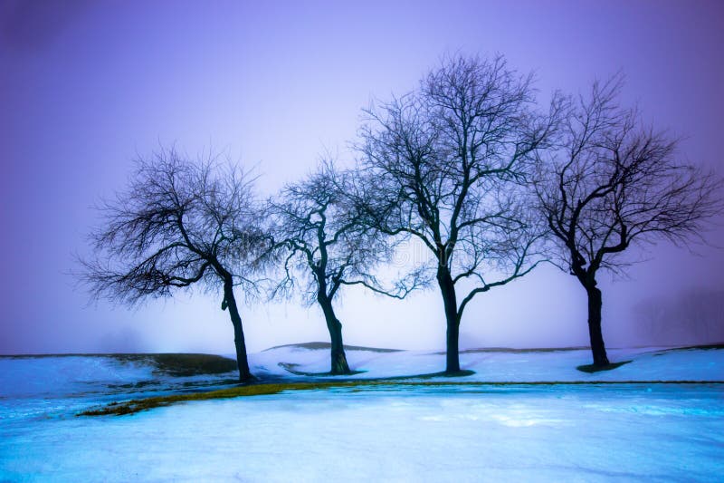 Cold Night stock image. Image of field, lavender, tranquil - 29426127