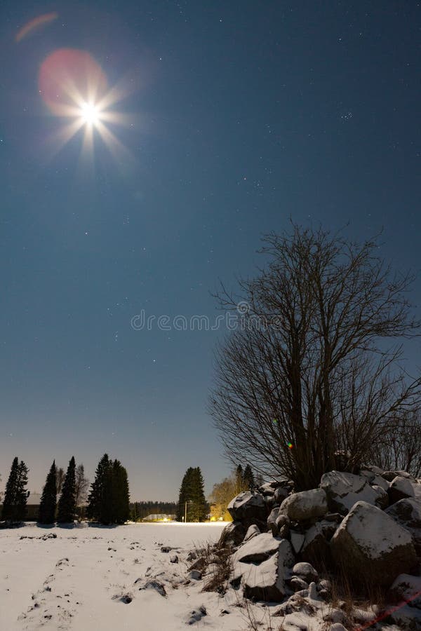 Cold night landscape stock photo. Image of trees, landscape - 111683232
