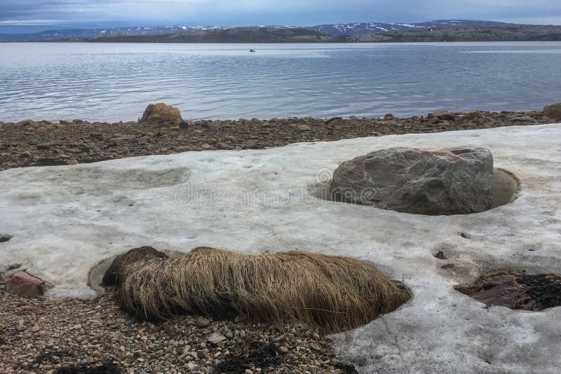 Cold North sea in Norway stock photo. Image of north - 166423004