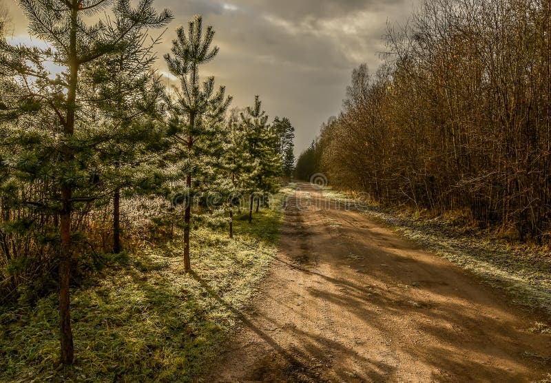 Cold November Day on the Road Stock Image - Image of cloudy, grass ...
