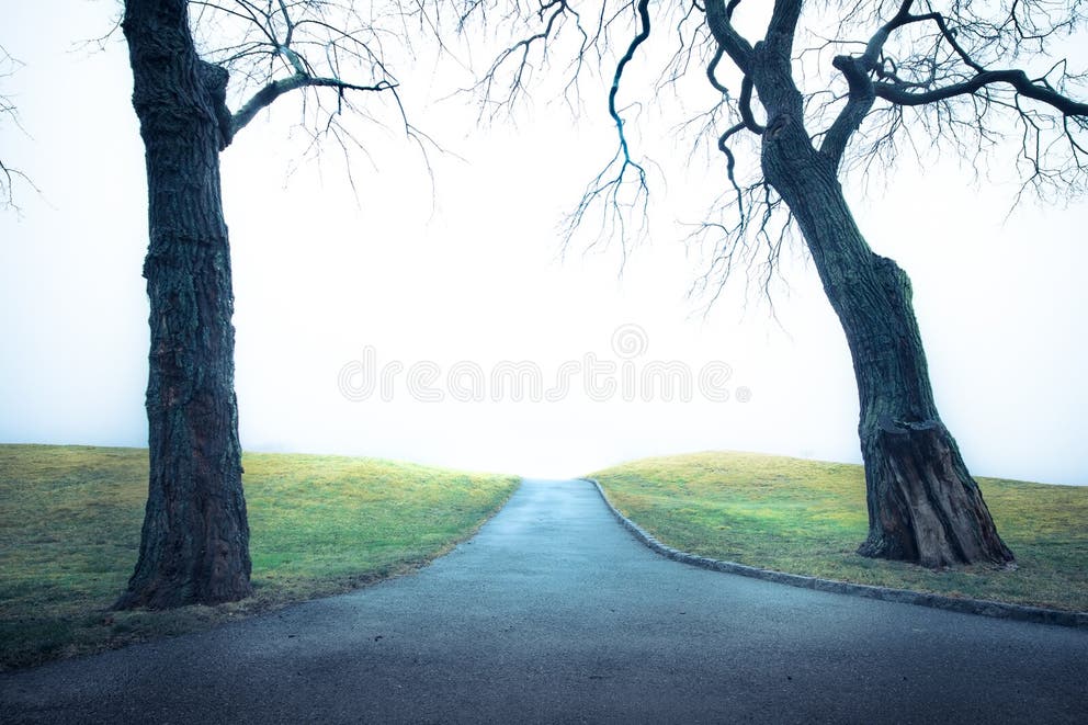 Cold Path with Trees stock image. Image of journey, atmosphere - 29102971