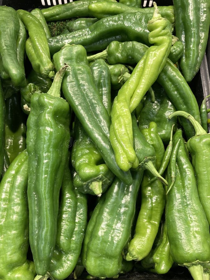 Cold Pepper Photo of Vegetables: Bell Peppers in a Basket Stock Photo ...
