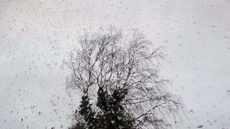 Cold rain Stormy today stock photo. Image of today, stormy - 171986486