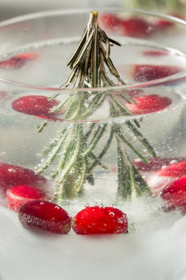 Cold Refreshing Christmas Snowglobe Cocktail Stock Image - Image of ...
