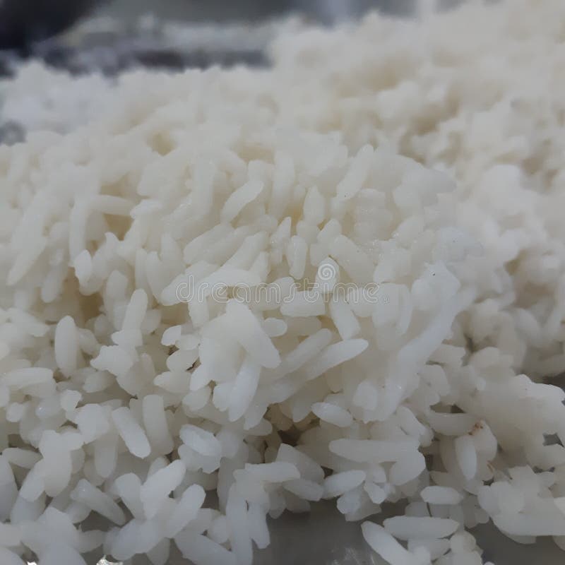 Cold rice in tray stock photo. Image of cuisine, tray - 262101602