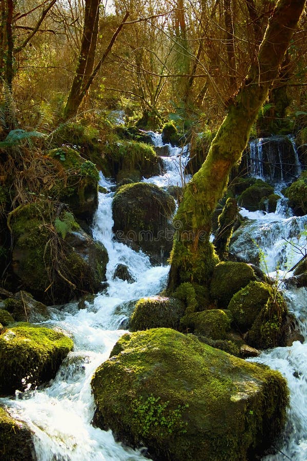 Cold river stock photo. Image of water, winter, cold - 12734408