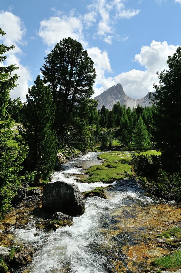 Cold River and Mountains in the Dolomites Stock Image - Image of forest ...