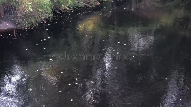 Cold River Water Slowly Flowing, Top View Stock Video - Video of cold ...