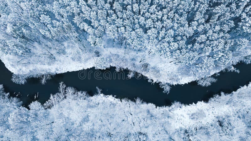 Cold River and White Forest. Trees are Covered with Snow Stock Image ...