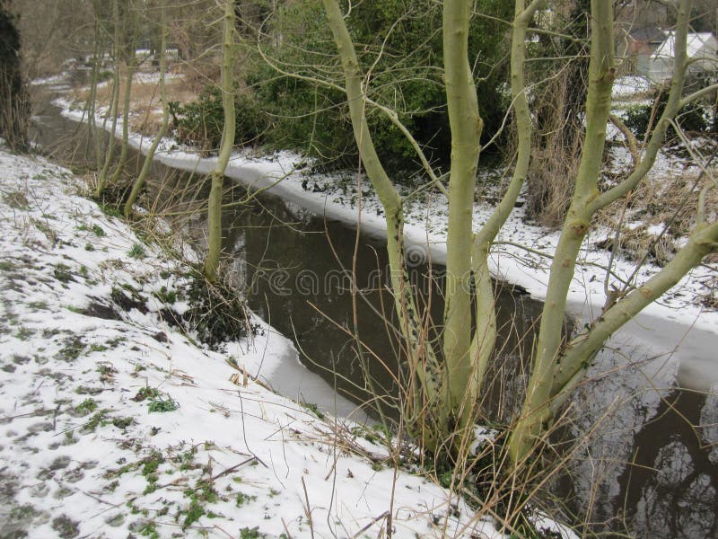Cold Riverside stock image. Image of trees, cold, water - 111271731