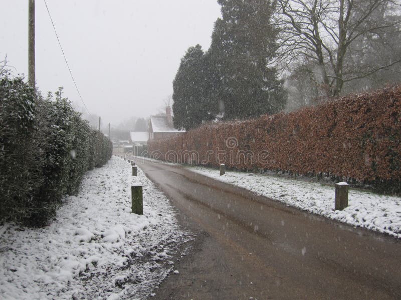 Cold Road stock photo. Image of road, cold, trees, snowy - 112521502