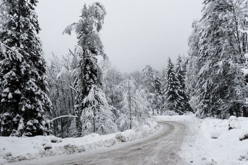 Cold Road in a Snowy Winter Stock Photo - Image of icey, road: 36123354