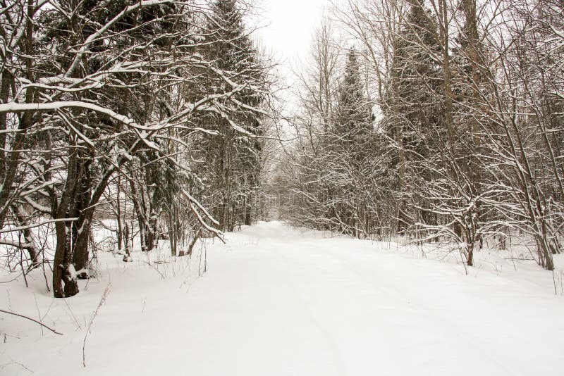 Heavy Snow in Moscow during Winter Stock Photo - Image of moscow ...