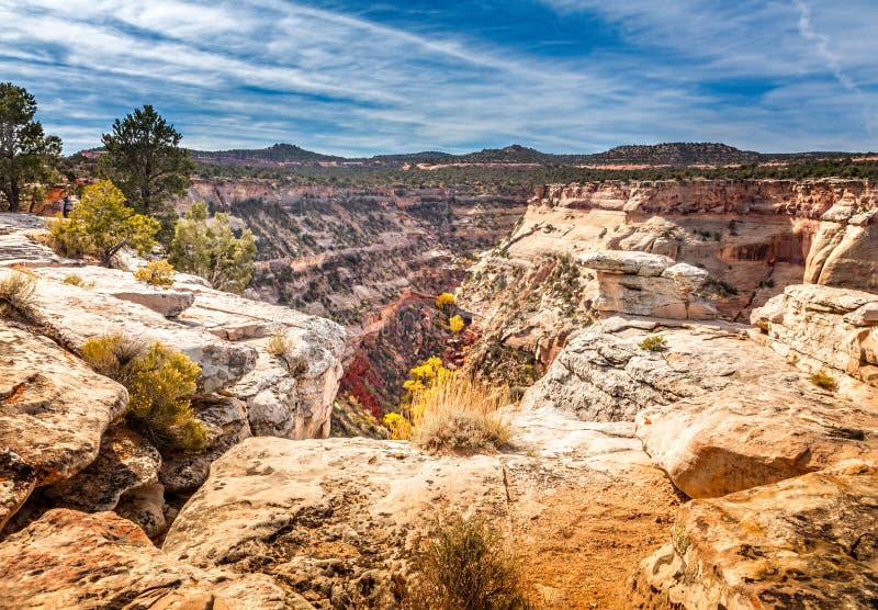 Cold Shivers Viewpoint Over the Columbus Canyon, Colorado USA Stock ...