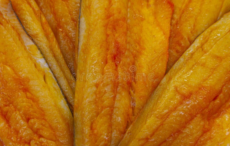 Cold Smoked Fish with Pepper and Drops of Fat Stock Image - Image of ...