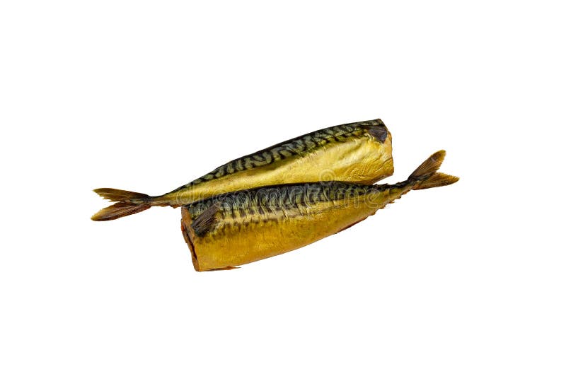 Cold-smoked Mackerel Fish without a Head. Stock Image - Image of ...