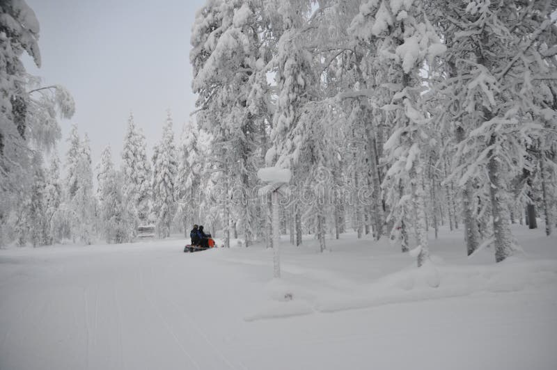 Cold and Snowy Day in Lapland Stock Photo - Image of sweden, norway ...