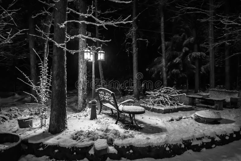 Cold snowy night stock image. Image of snowy, night, winter - 60561121