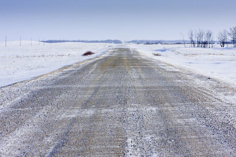 Single Tree on the Side of Gravel Road in the Winter on the Prairies ...
