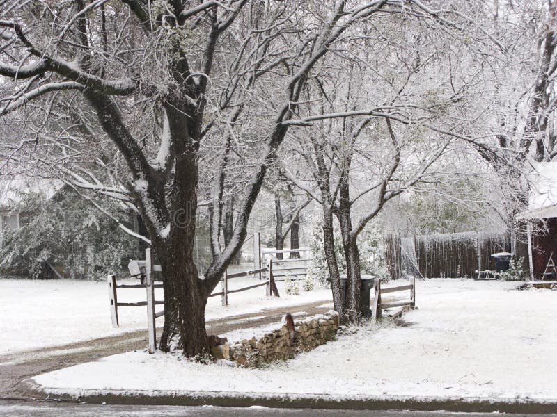 Cold,Snowy, Winter Scene stock image. Image of tree, cold - 4677563