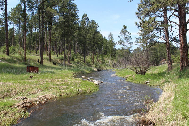 Spring Creek stock image. Image of scene, exposure, daytime - 94192171